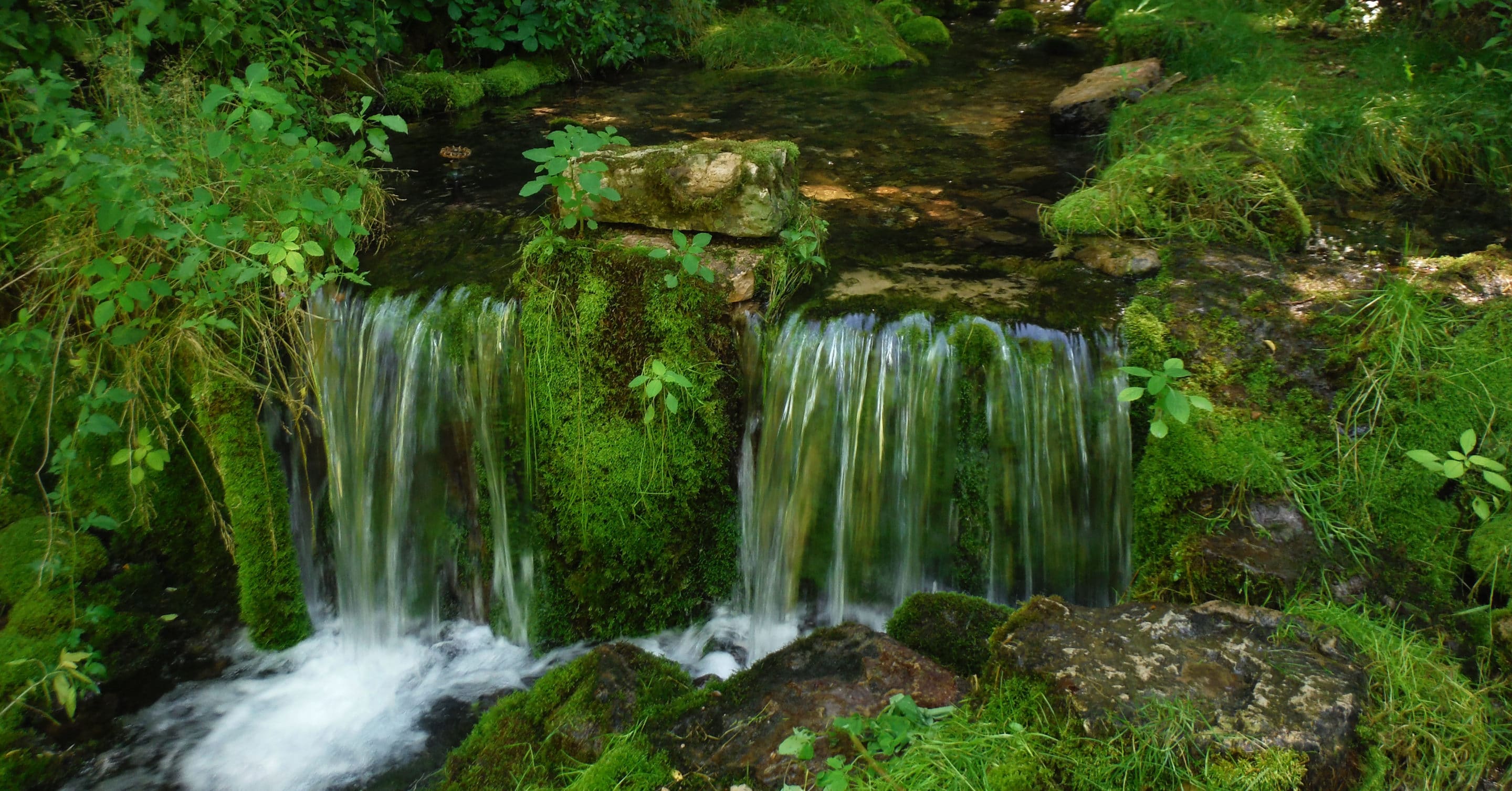 Wisconsin Freshwater Springs - Keck Geology Consortium